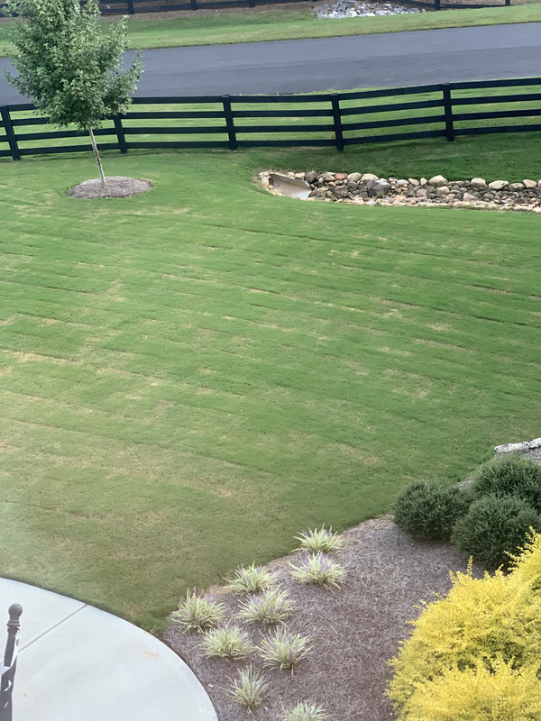 Lines in yard | Lawn Care Forum