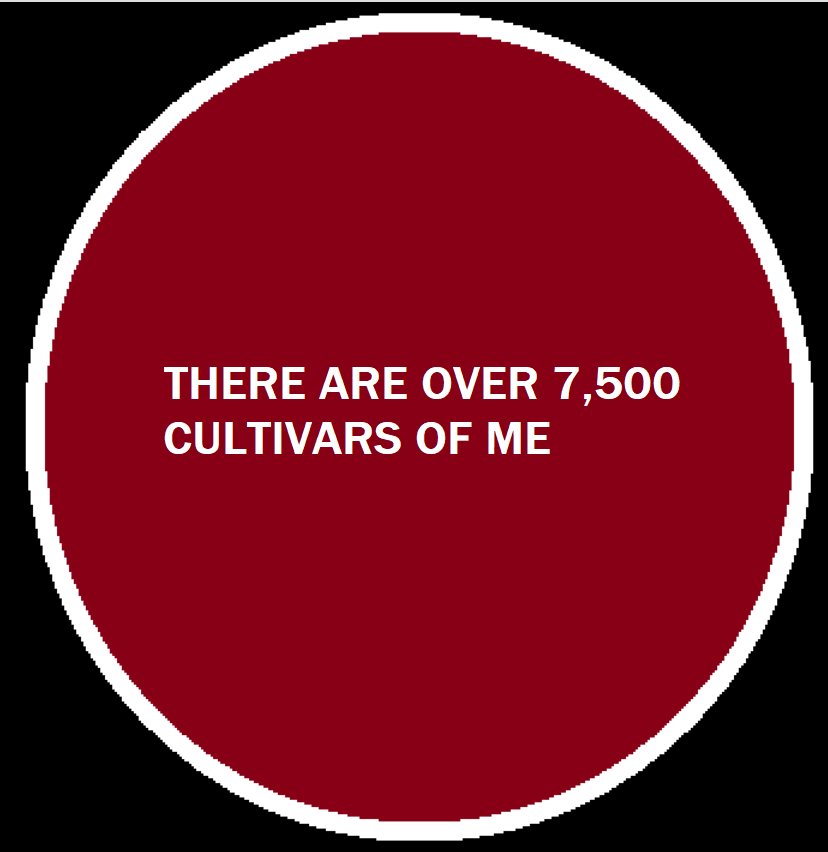 Top Secret Clue 1 — Postimages