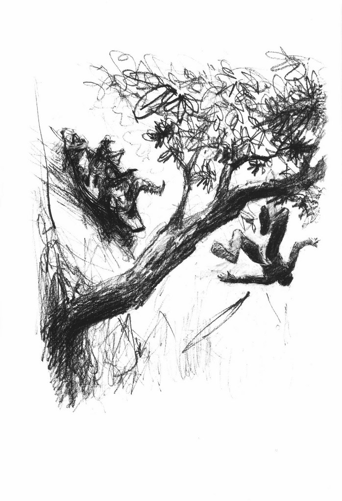 b 016 ( Copier) — Postimages