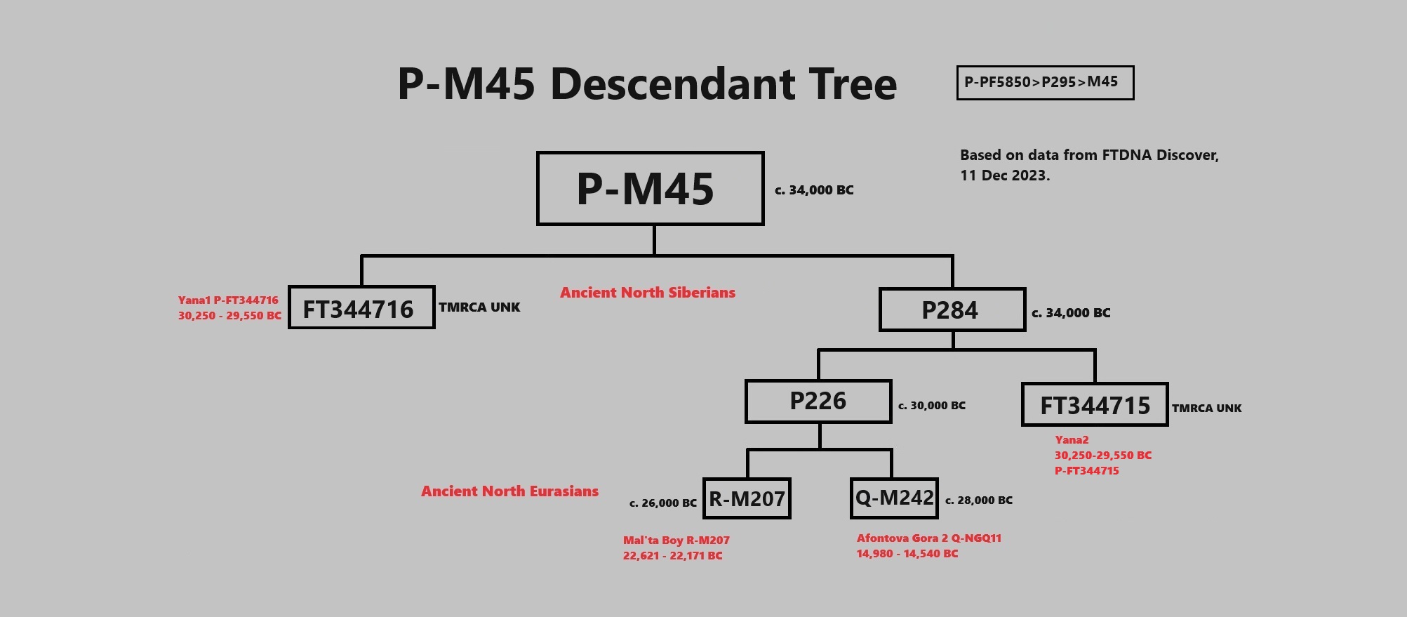 P M45 Descendant Tree w ancient samples in red — Postimages