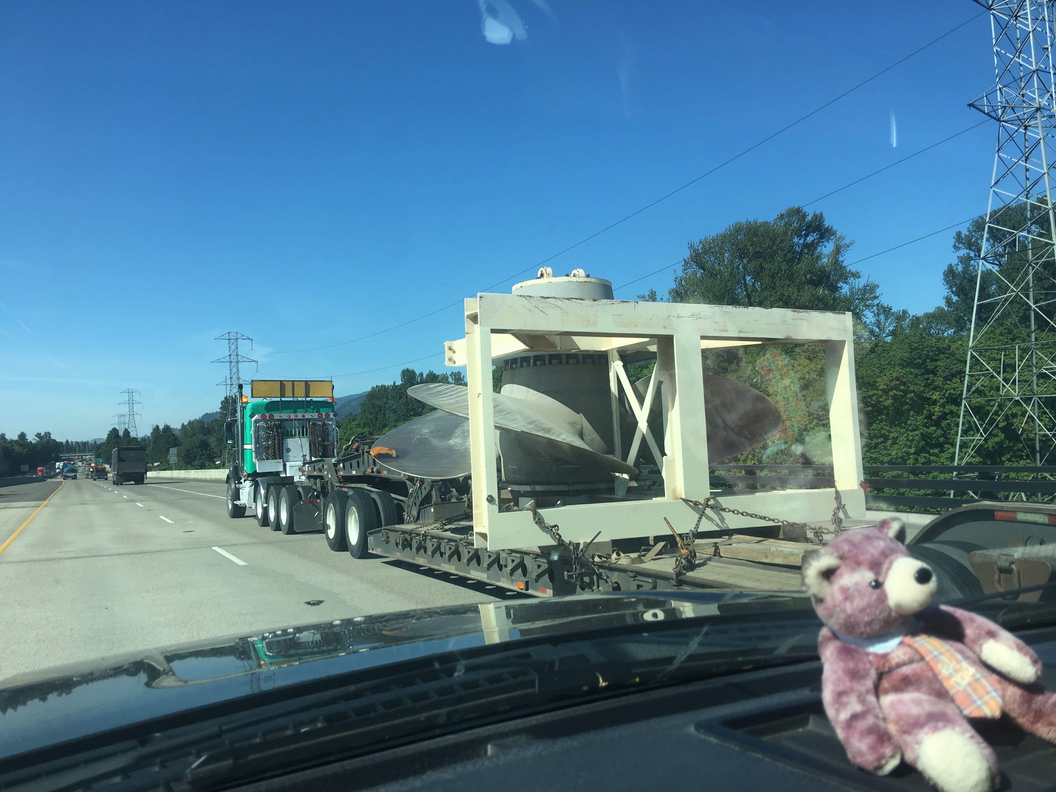 IMG 6803[46526] — Postimages