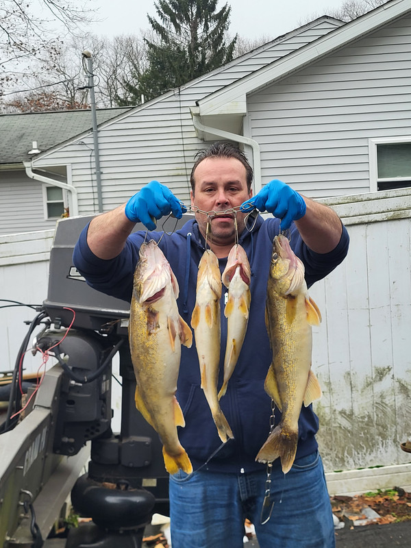 20231217 124449 — Postimages