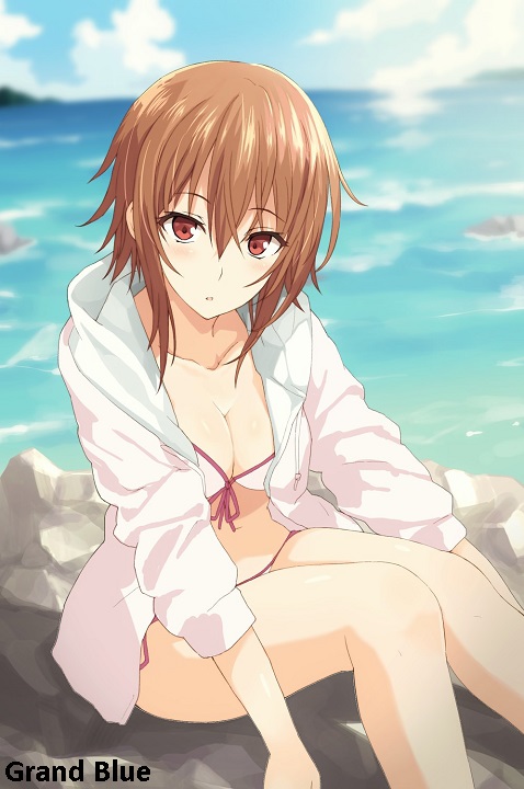 Grand Blue (2018) (Sezon 1) PL.WEB-DL.1080p.x264-zyl / Napisy PL ...