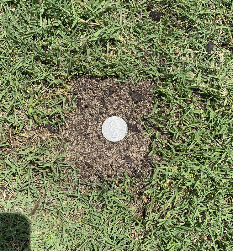 Plugging away | Lawn Care Forum