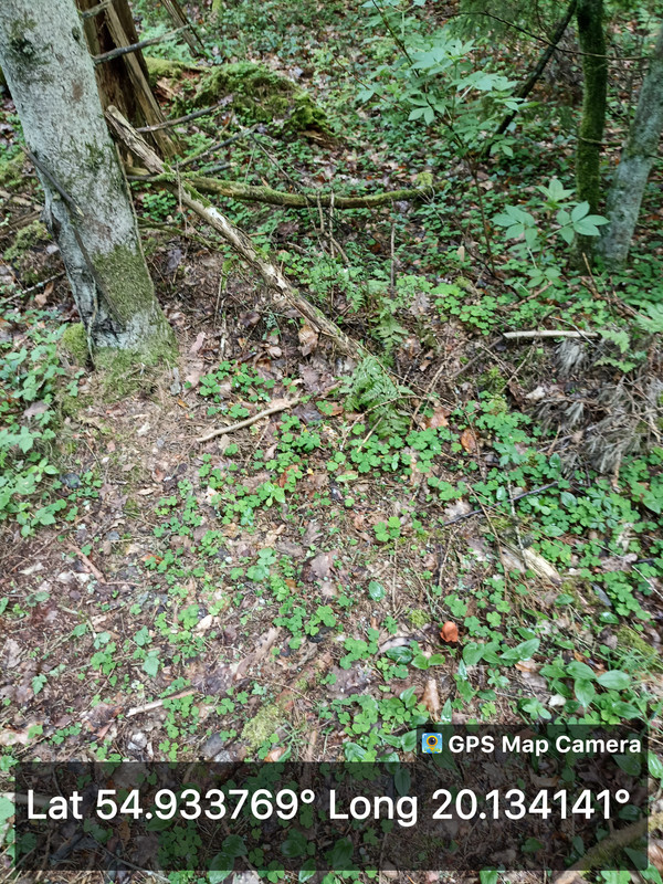 20230516 153553 вторник 709 By GPSMap Camera — Postimages