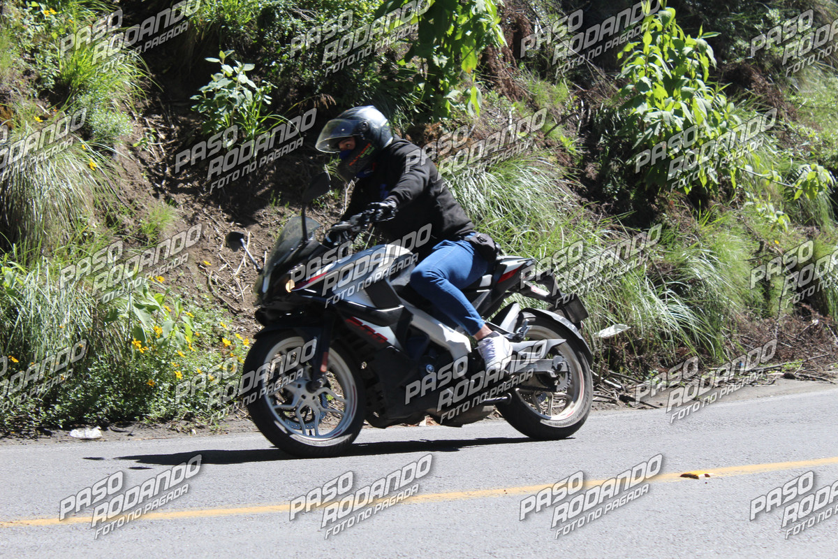 IMG 4133 wm 2390688 2 watermarked — Postimages