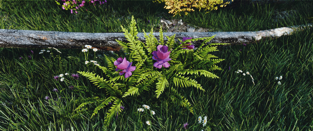 Luxor's Fern HD Purple at Fallout 4 Nexus - Mods and community