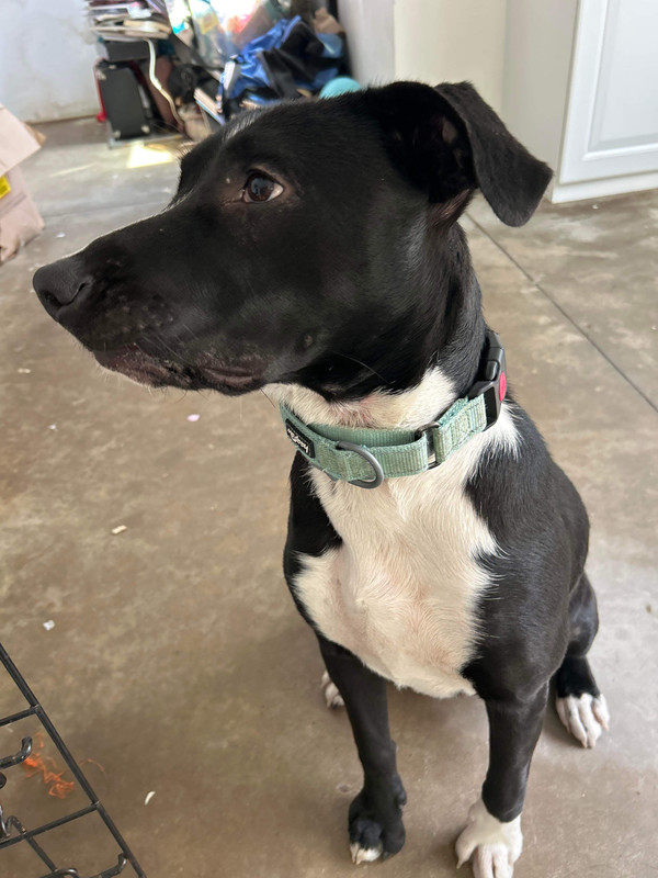 IMG 0054 — Postimages