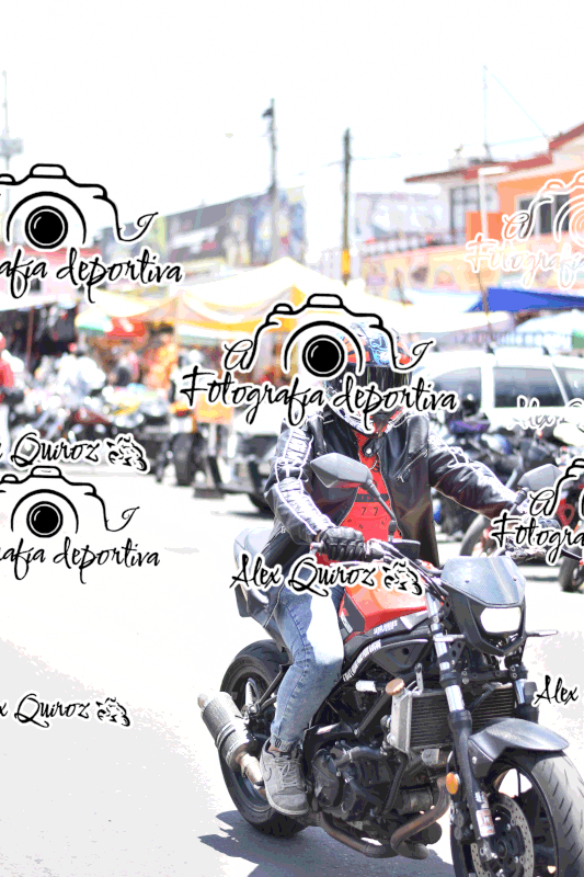 AVQ 7942 — Postimages