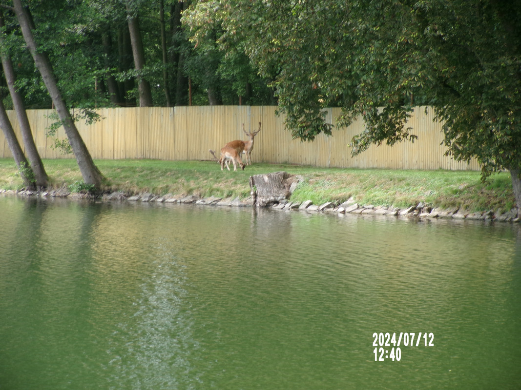 100 0027 — Postimages