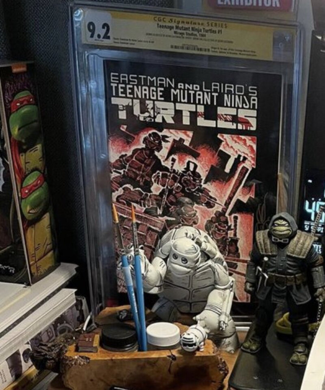 Mirage 4 Turtles 02 scaled 800 — Postimages