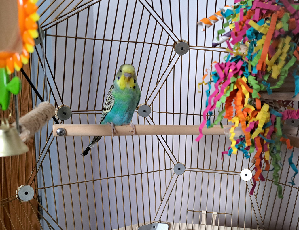 20221024 115244 — Postimages