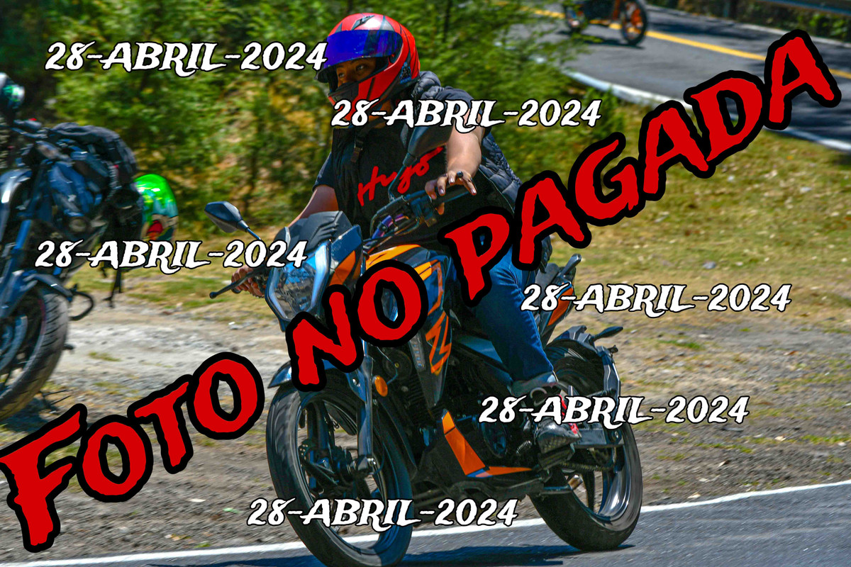 CC 541 — Postimages