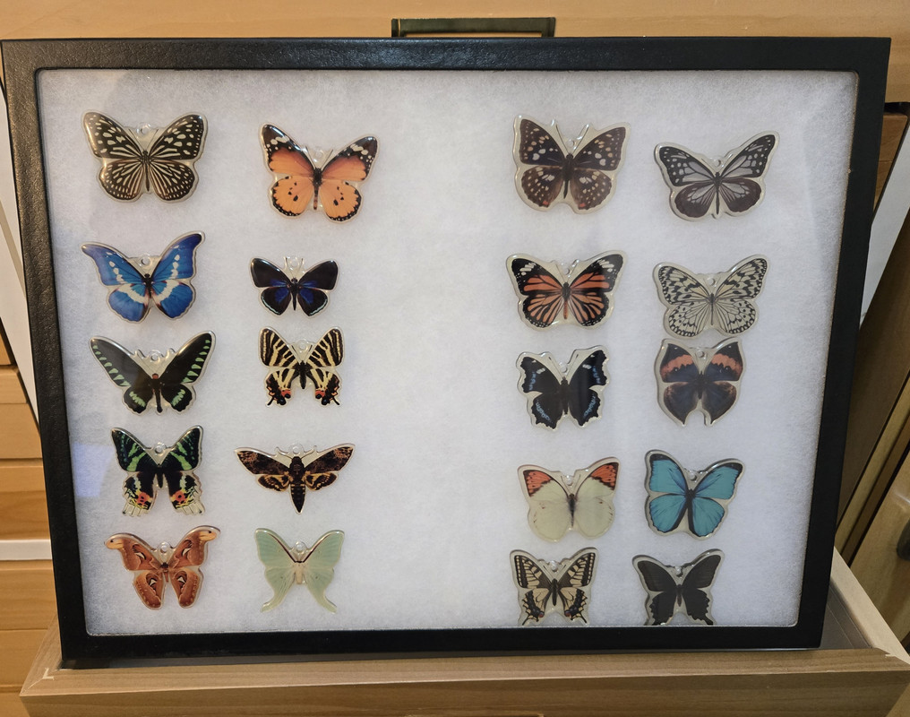 20250419 143656 — Postimages