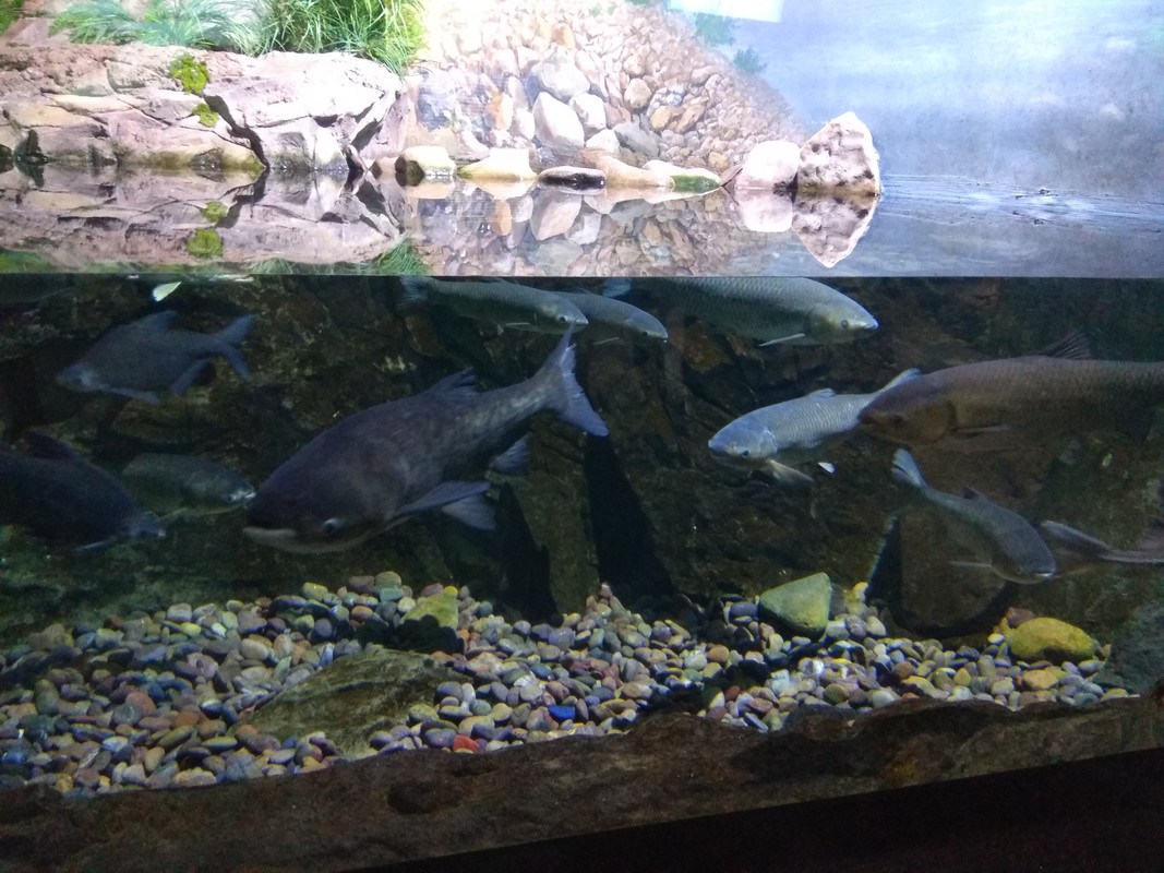 IMG 20220803 154138 — Postimages