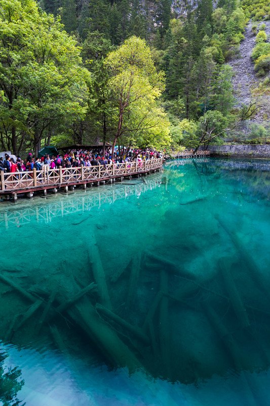 IMG 3635 Jiuzhaigou National Park Panda lake — Postimages