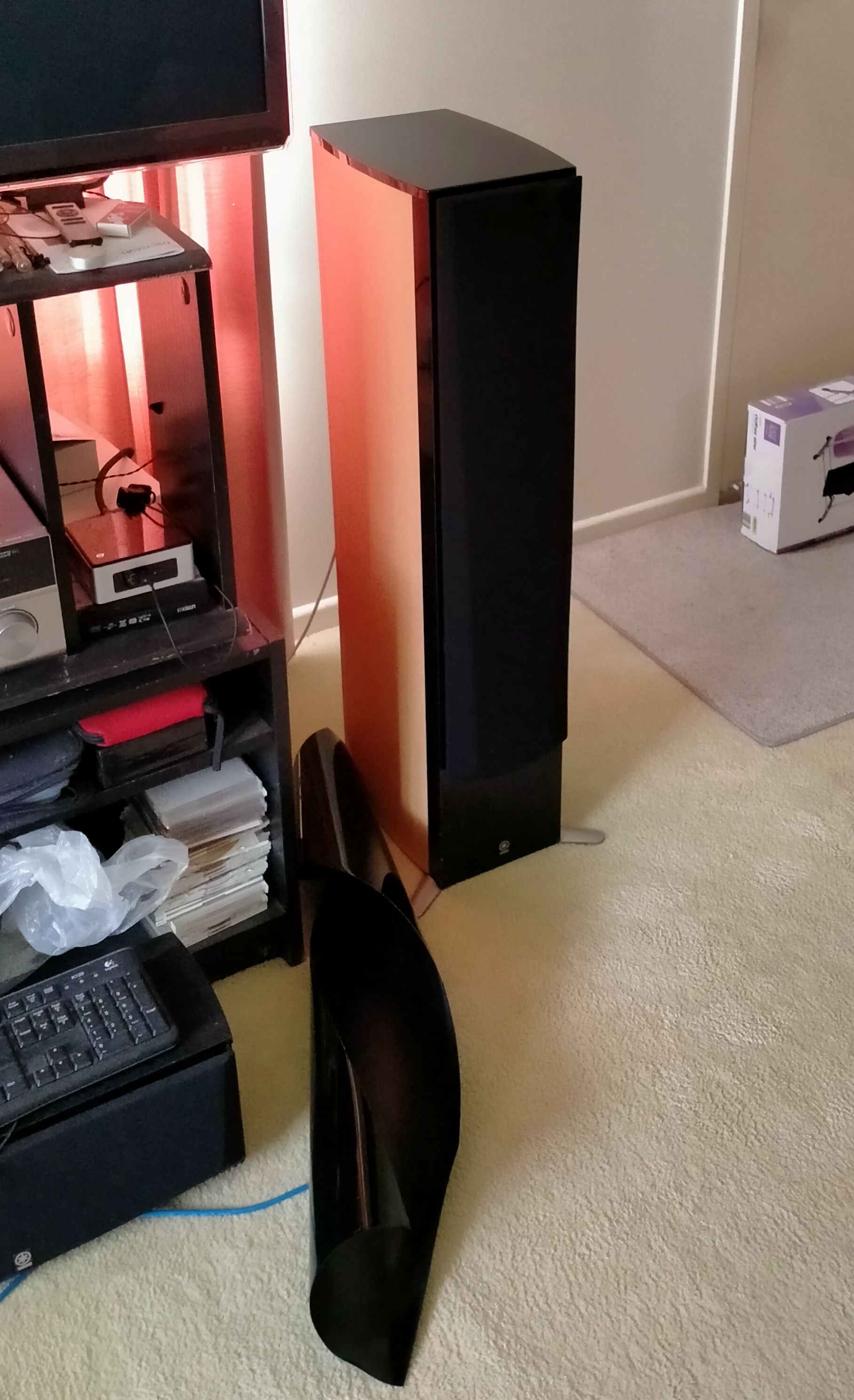 RH Speaker LH skin completely peeled off 2 trimmed — Postimages