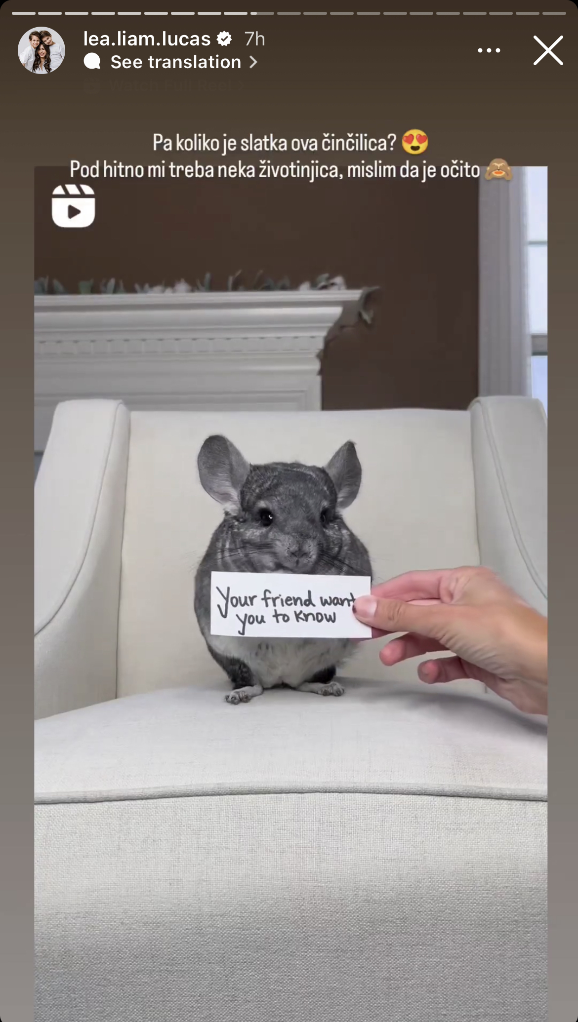 IMG 1148 — Postimages