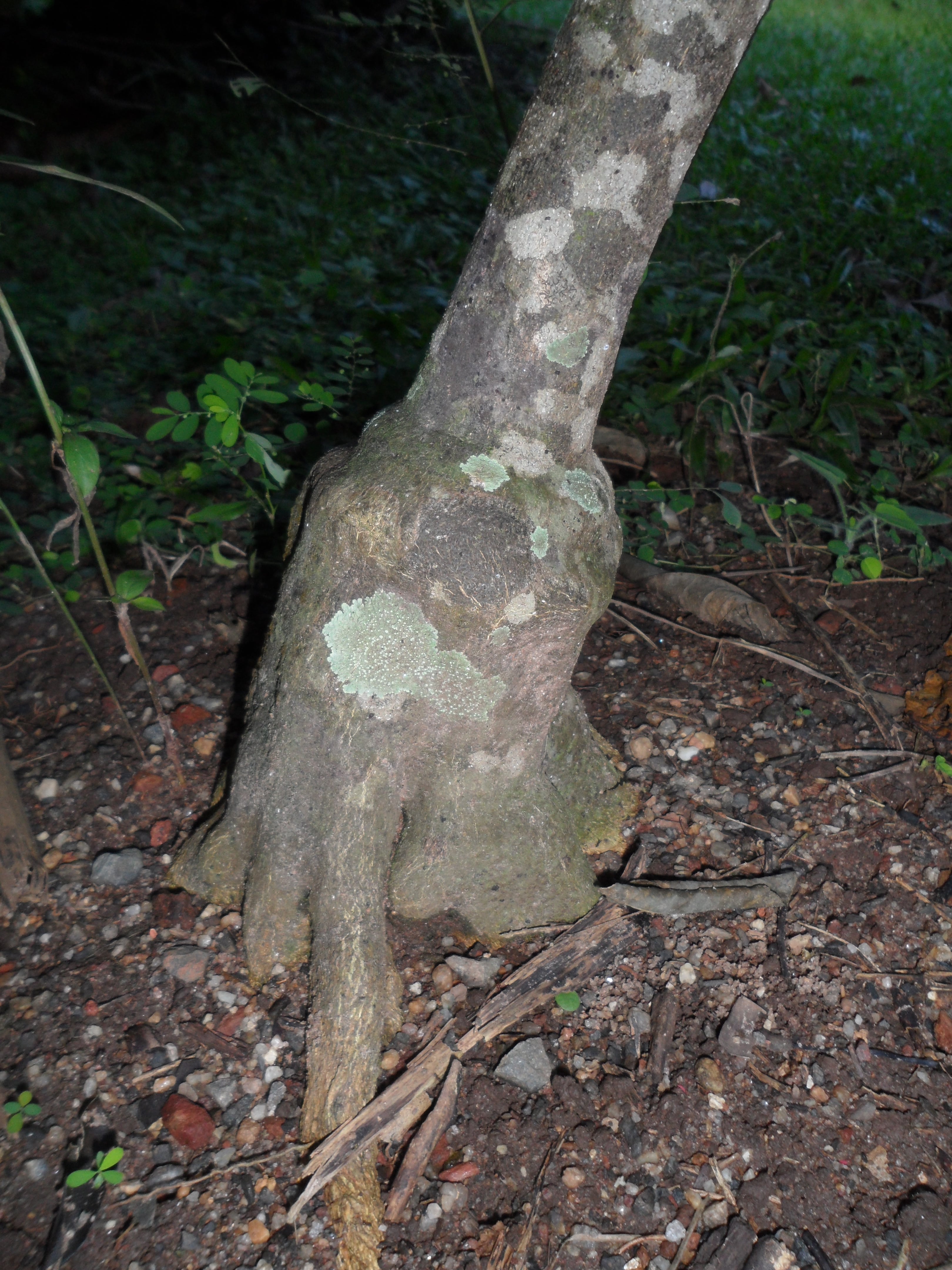 SAM 0816 — Postimages