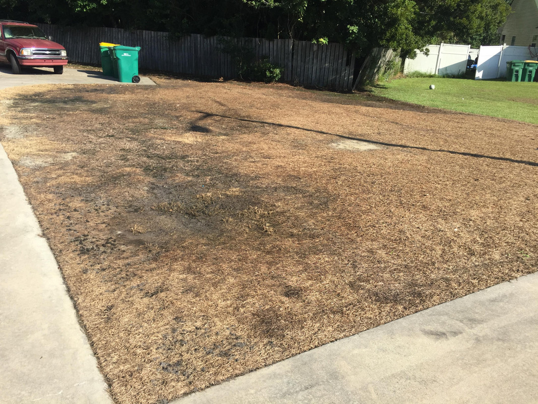 IMG 3100 — Postimages