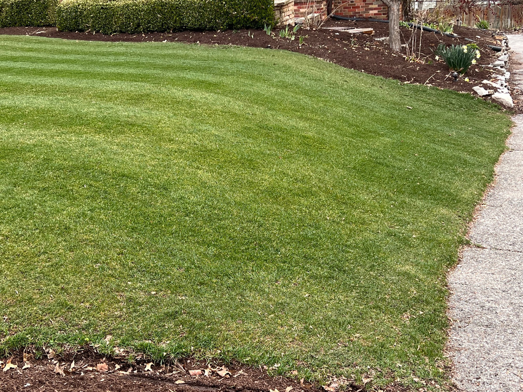 IMG 2649 — Postimages