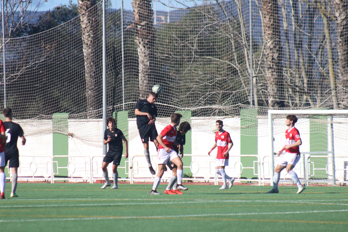 IMG 2536 — Postimages