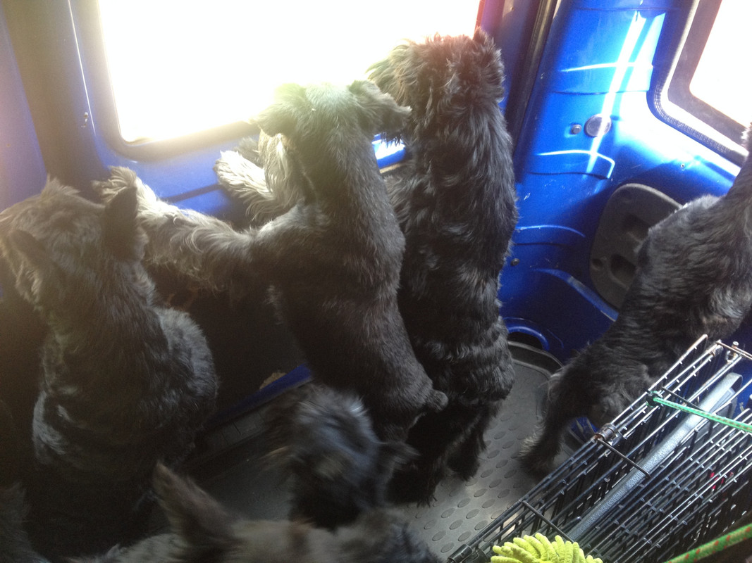 v U2q PB P Ls — Postimages