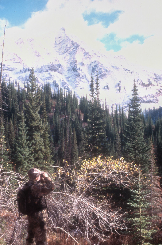 023 23 — Postimages