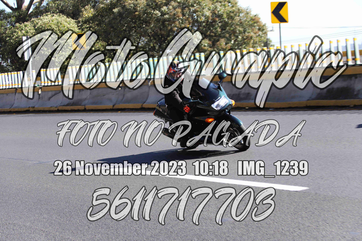 motgr IMG 1239 — Postimages