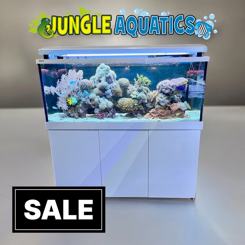 [FS] - Red Sea Max 650 Aquarium | Marine Aquariums South Africa