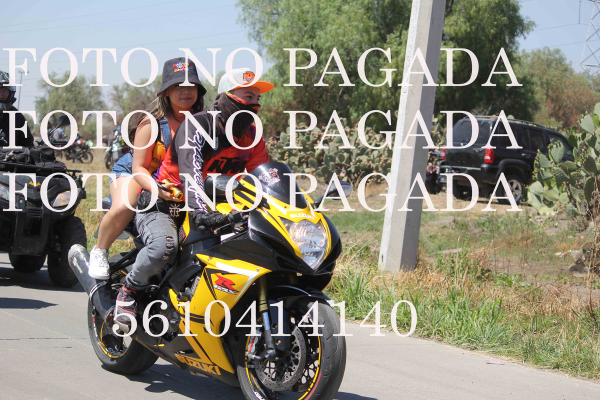 IMG 2169 — Postimages