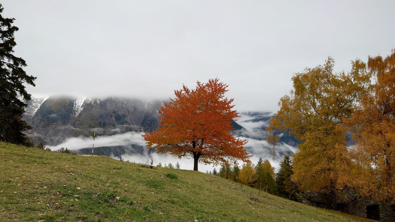 20211031 151341 — Postimages