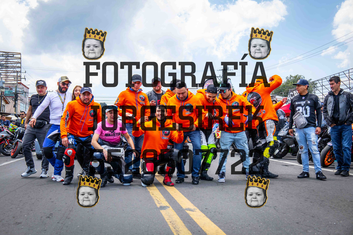 IMG 1978 — Postimages