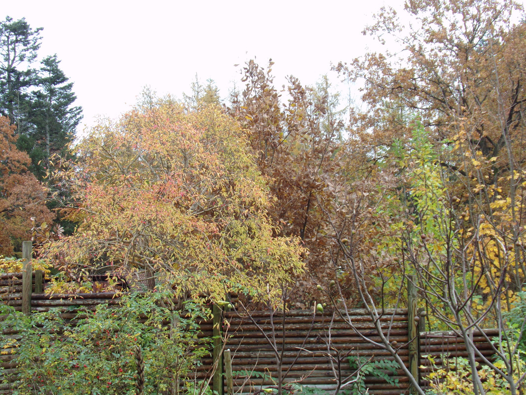 100 0110 — Postimages