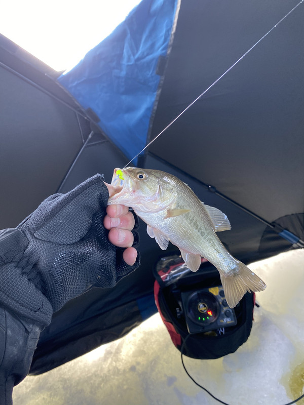 EA96 B7 D9 BCA1 460 E 8324 1 E57 BB7 C4314 — Postimages