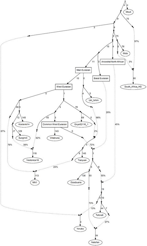 Finally a Dzudzuana individual (G25 scaled coordinates)