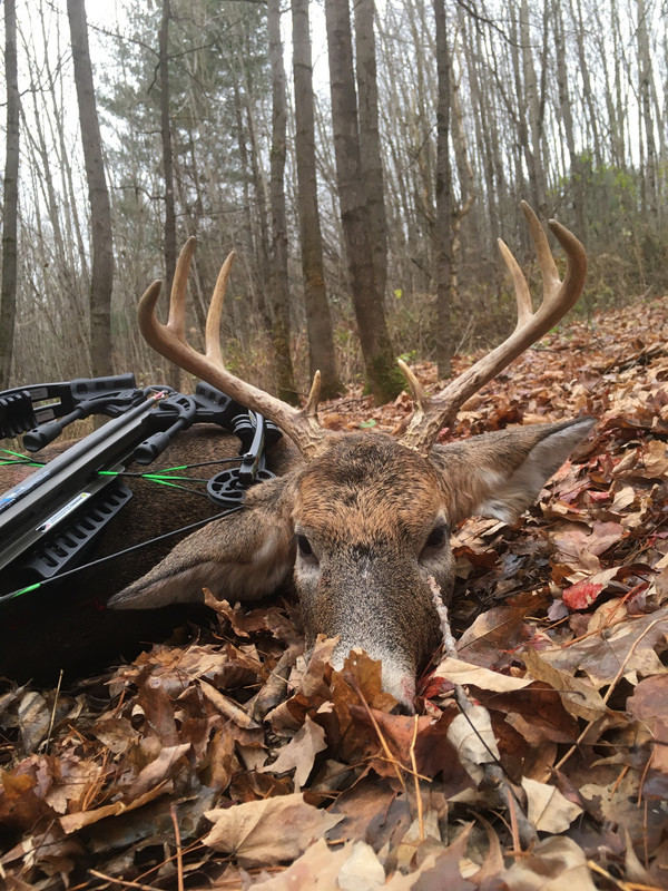 IMG 3255 — Postimages