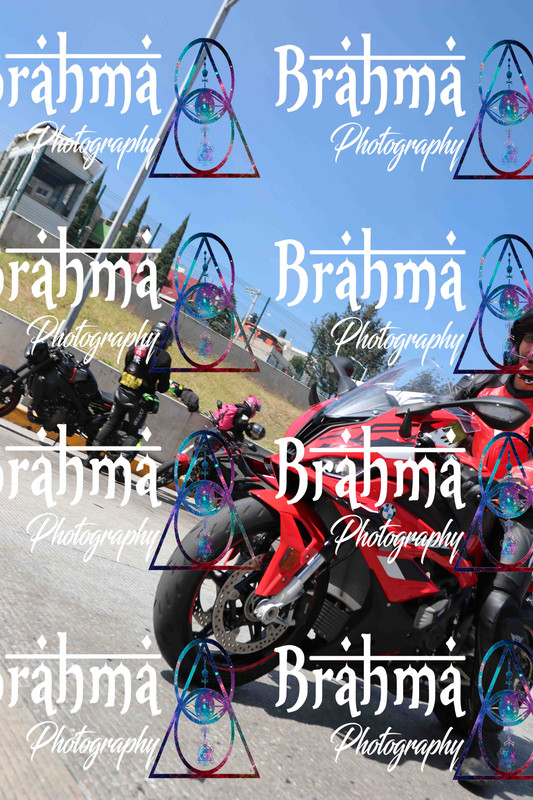 IMG 3933 — Postimages