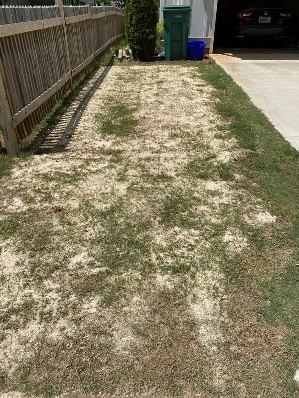 Side Yard — Postimages