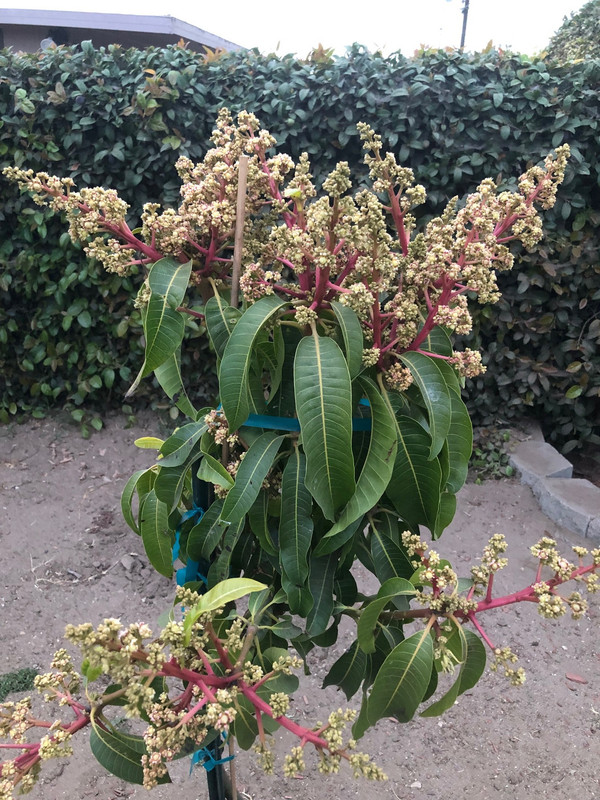 IMG 5730 — Postimages