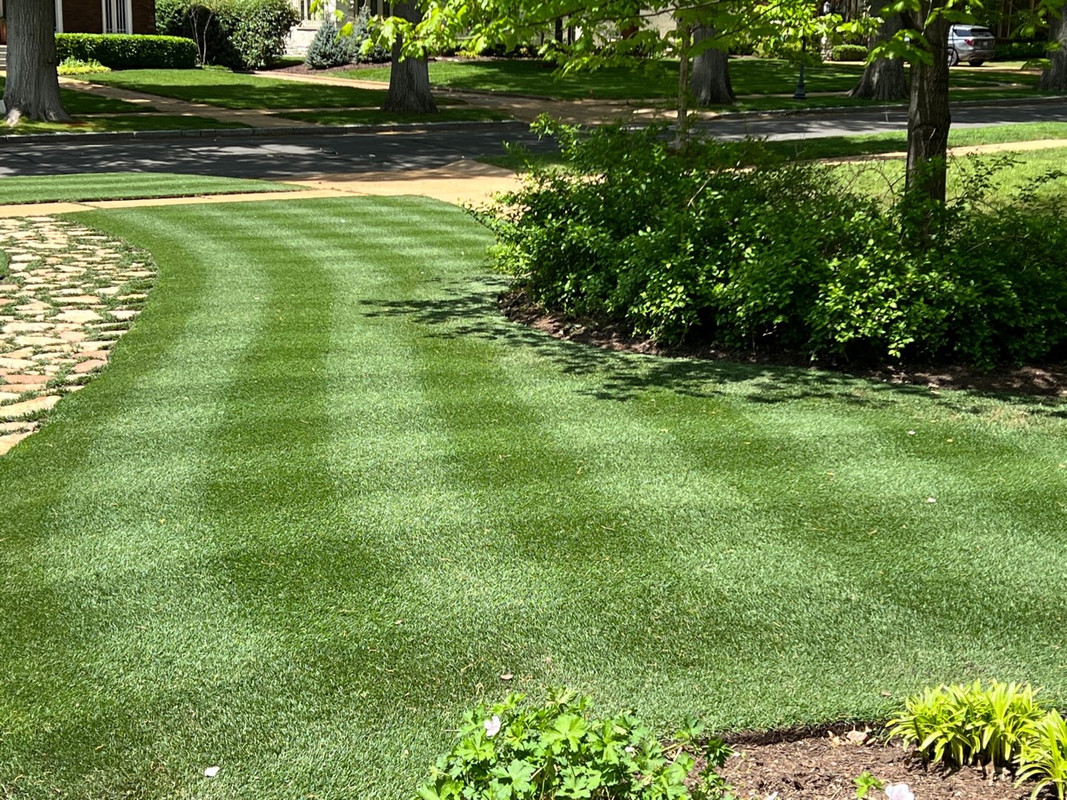 IMG 2783 — Postimages