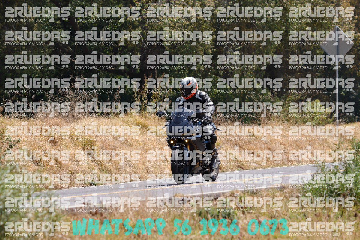 MG 1089 — Postimages