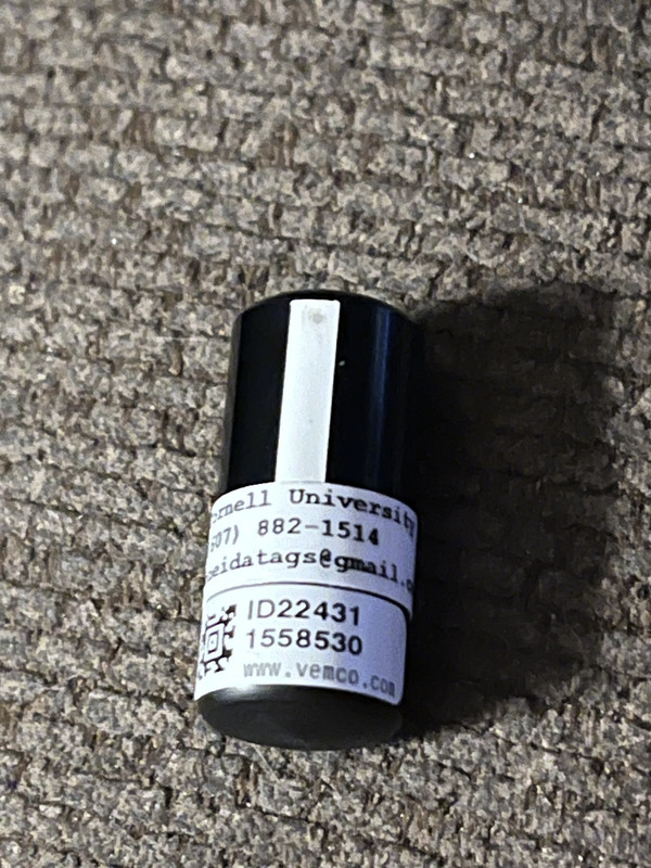 IMG 4086 — Postimages