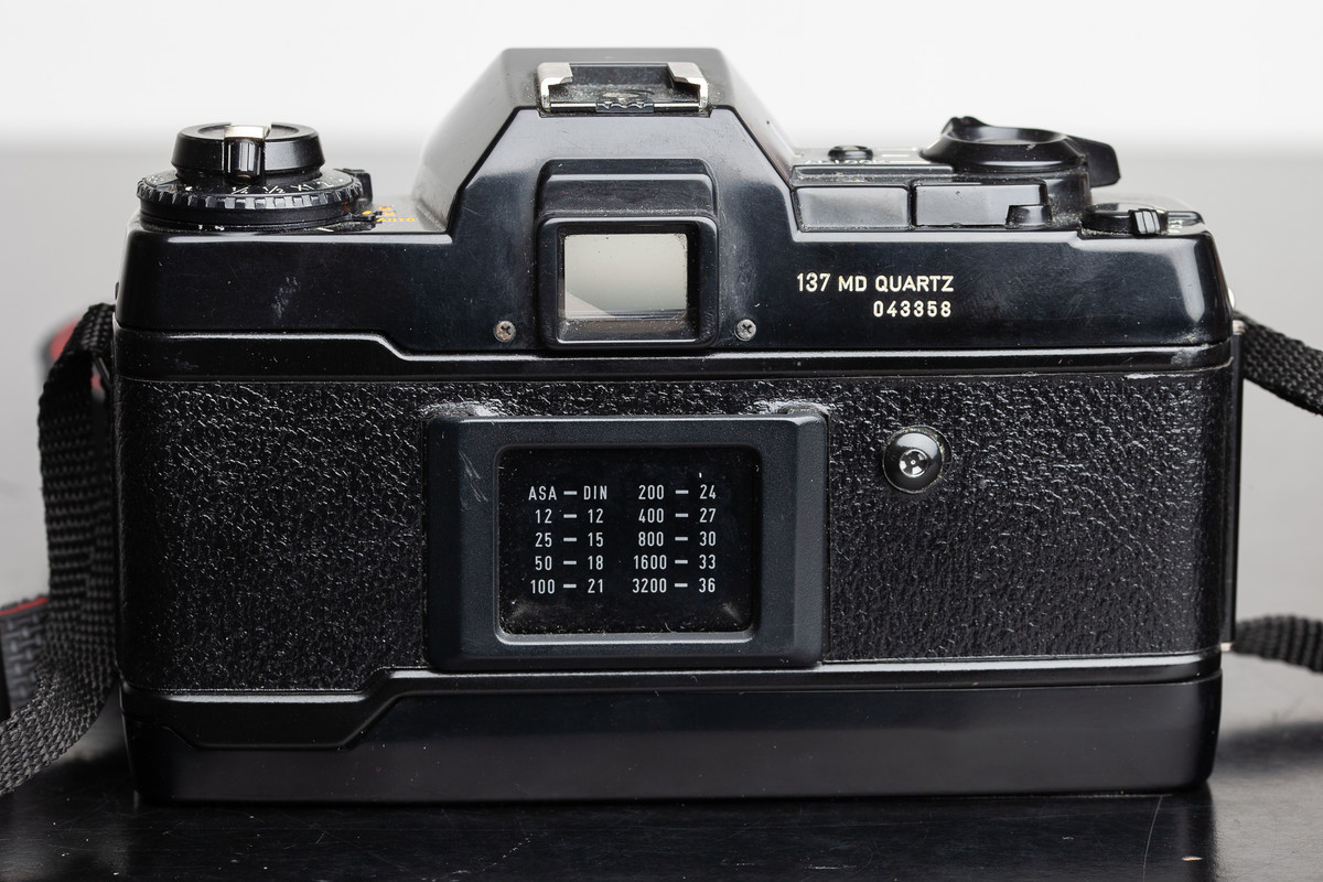 MG 0508 — Postimages