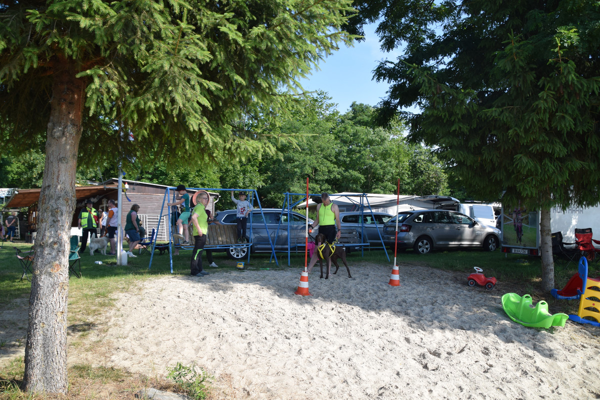 DSC 0083 — Postimages