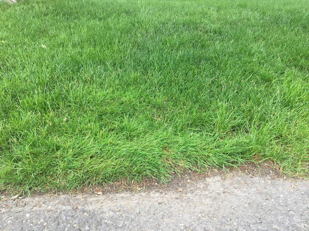 IMG 0106 — Postimages