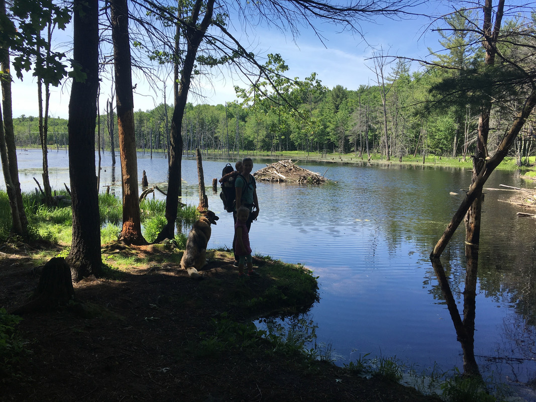 IMG 6850 — Postimages