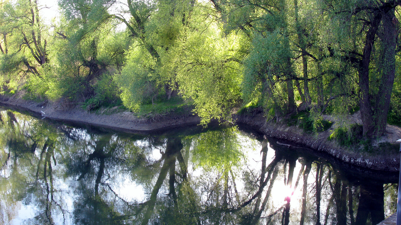 IMG 6852 — Postimages