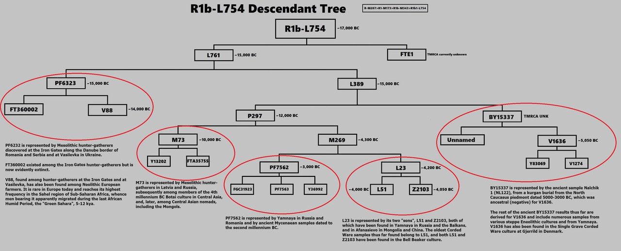 R1b L754 Descendant Tree w large print notes — Postimages
