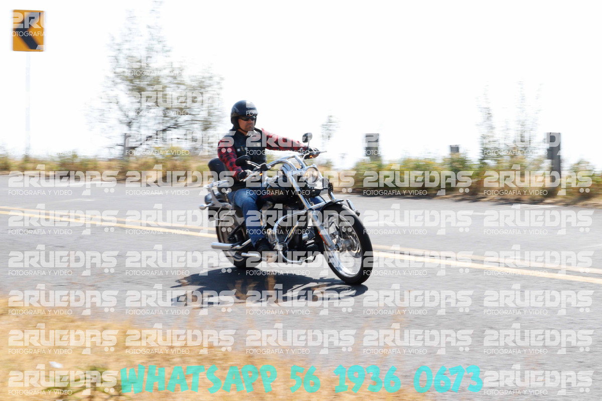 MG 0298 — Postimages